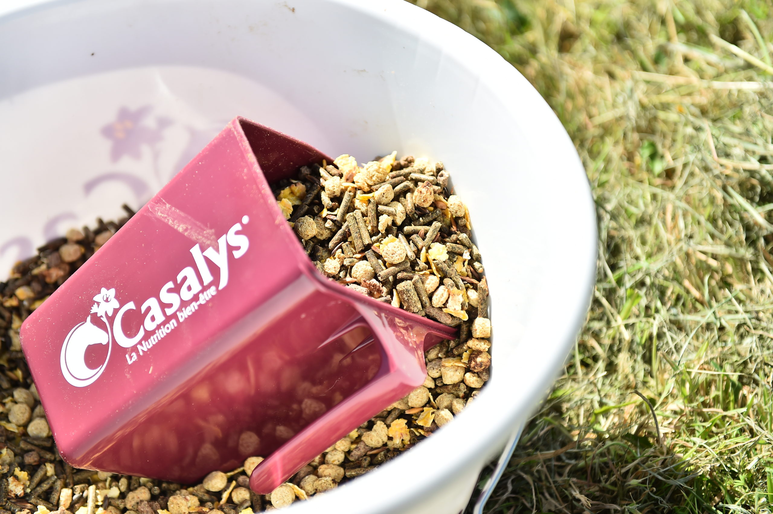 Accueil - Casalys, La Nutrition Bien-être du cheval