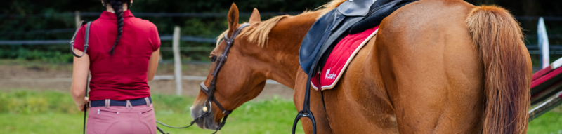 La PSSM chez le cheval : comprendre et mieux gérer la myopathie de ...